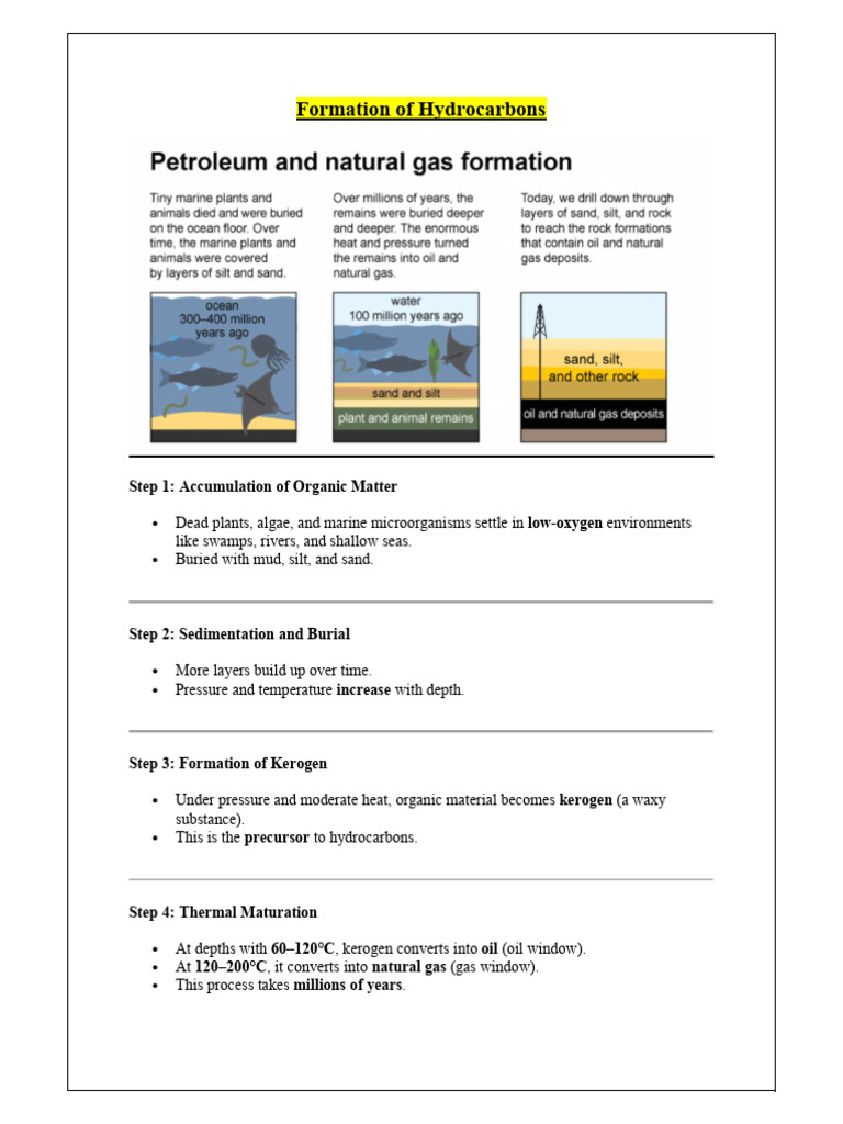 Formation of Hydro Carbons | PDF | Petroleum Reservoir | Petroleum