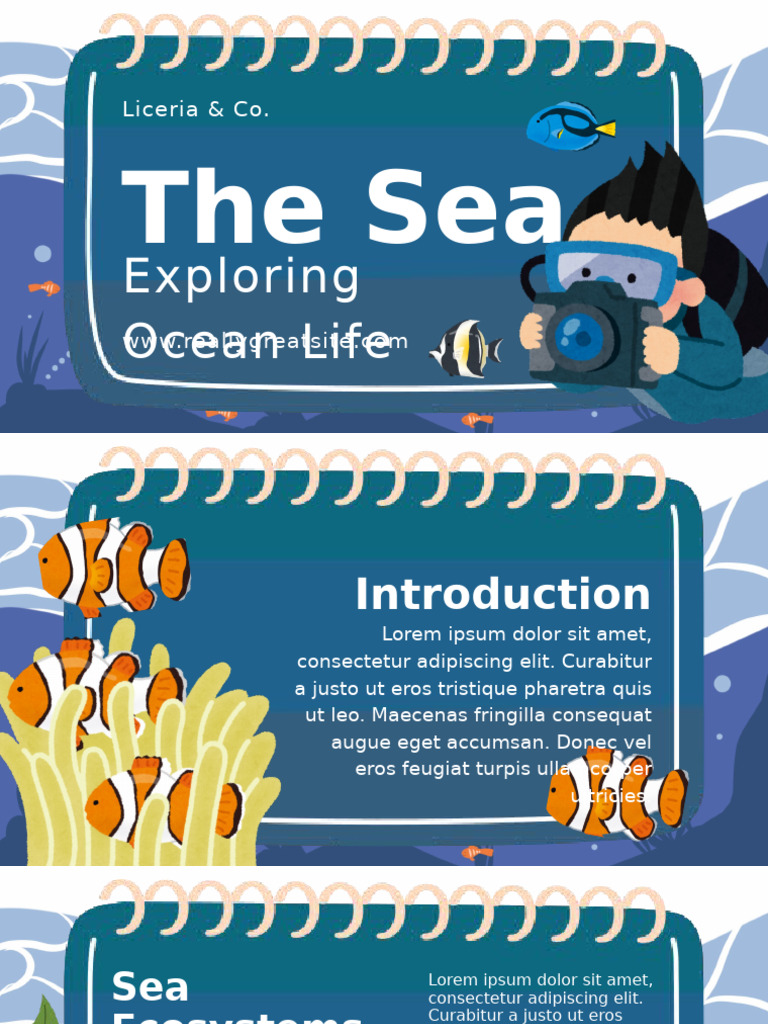 Colourful Cartoon Pirates Science Bodies of Water Education ...