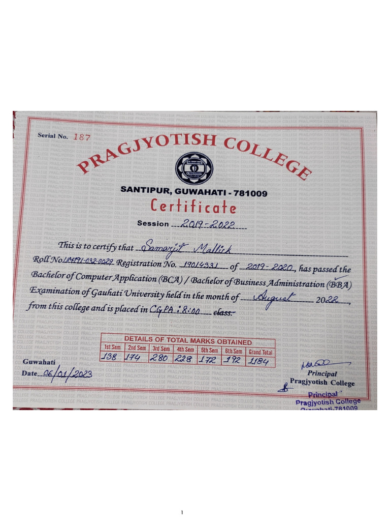 BBA Pass Certificate | PDF