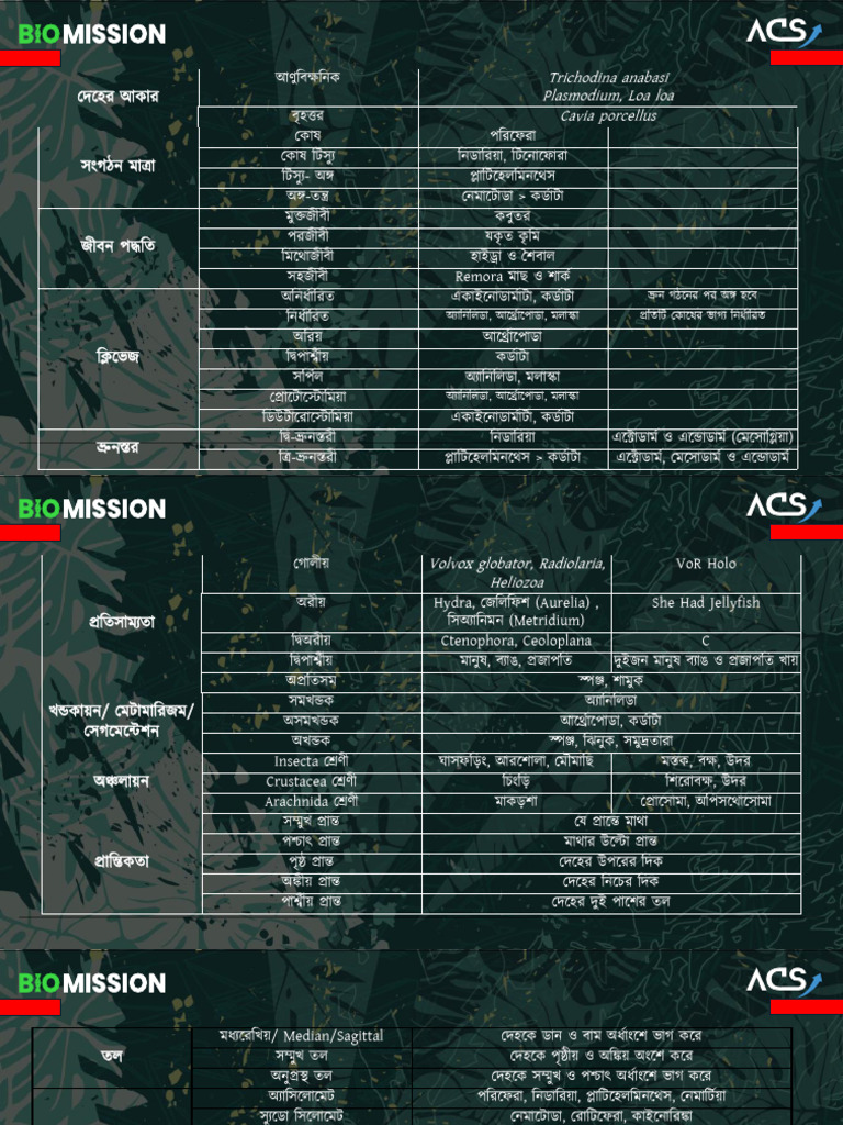 All Phylum in A Nutshell PDF | PDF