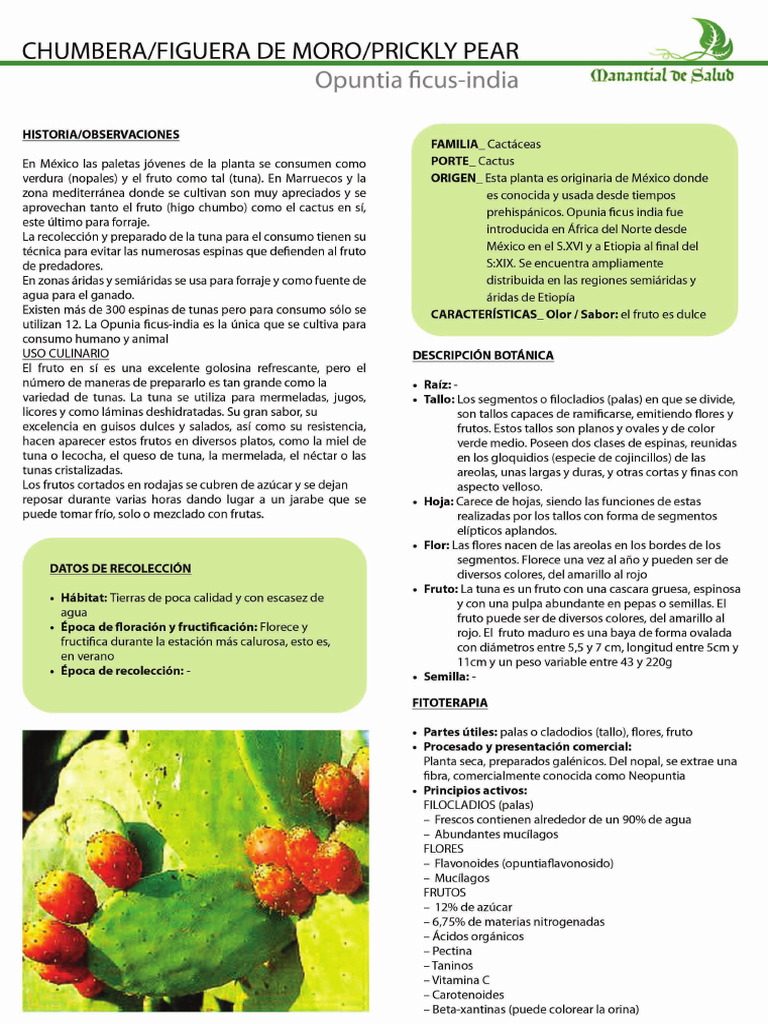 CHUMBERA | PDF
