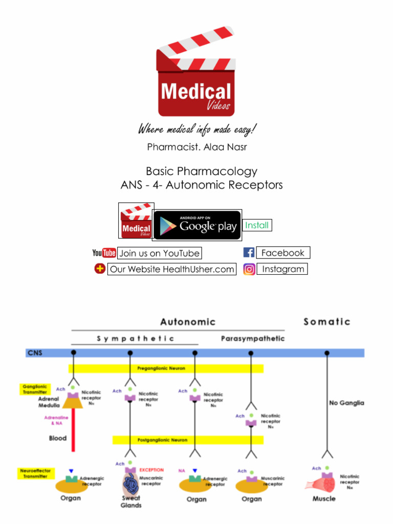 Pharmacology-ANS-04-Autonomic Receptors - MedicalVideosChannel | PDF