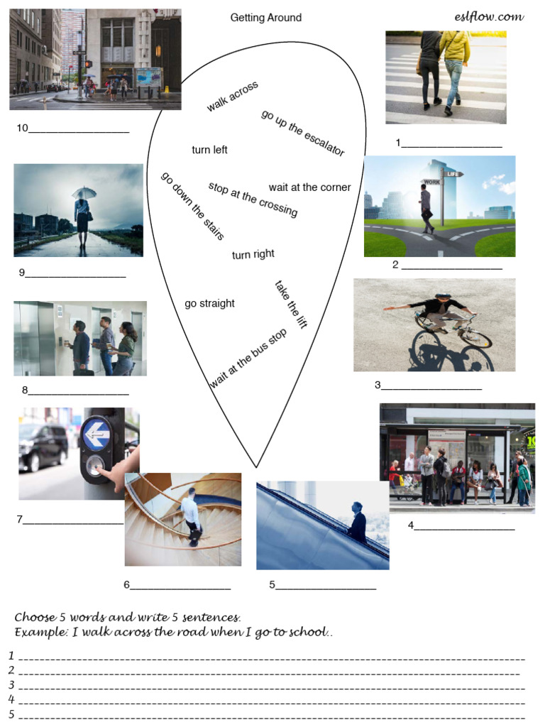 Getting Around Transport 2019 | PDF