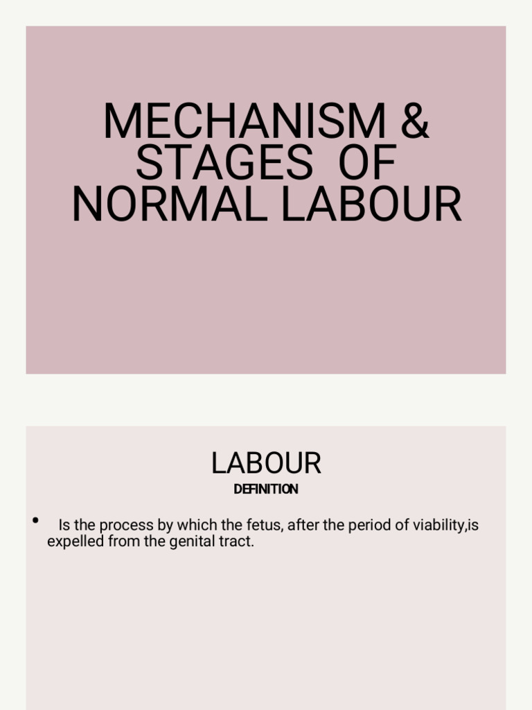 Stages of Labour | PDF | Childbirth | Pelvis