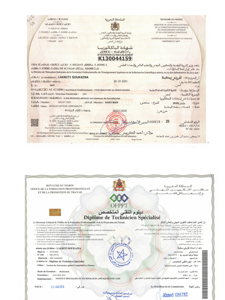 DIPLOME | PDF