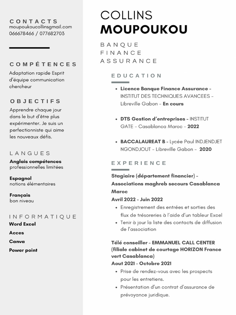 CV Collins Moupoukou | PDF