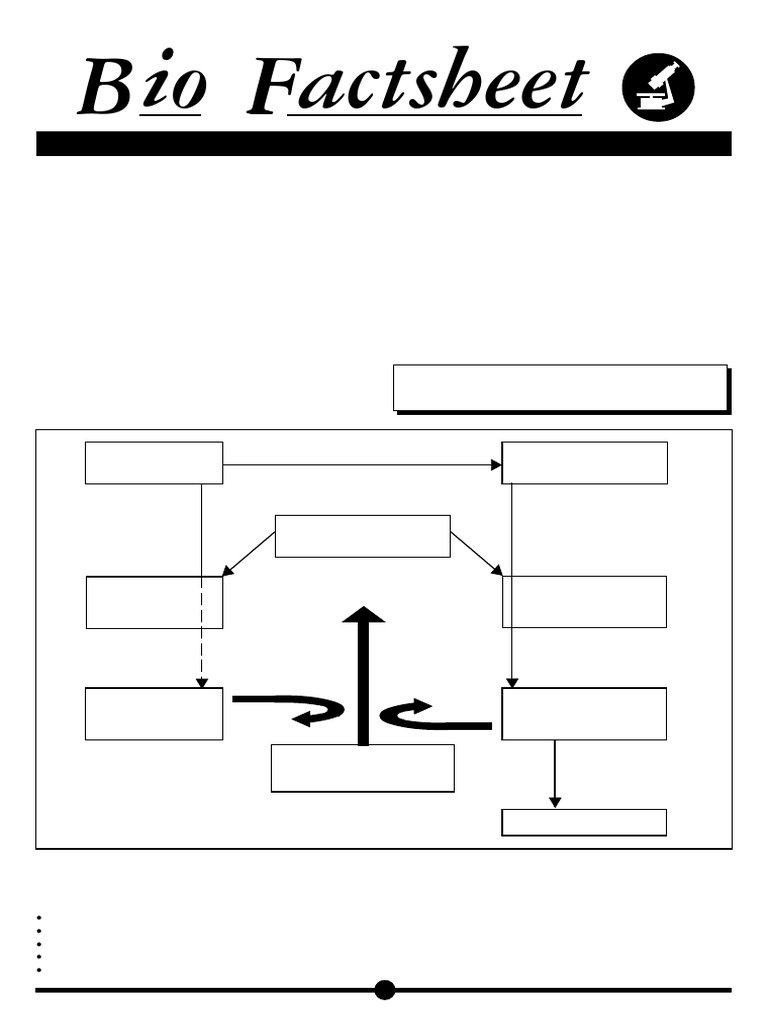 Modern Examples of Evolution in Action | PDF | Natural Selection | Bacteria