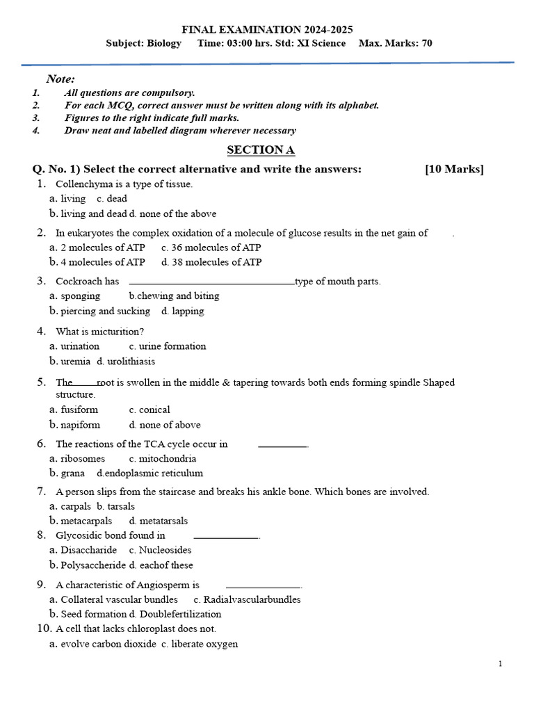 11th Biology Final Examination 2025 | PDF | Adenosine Triphosphate ...