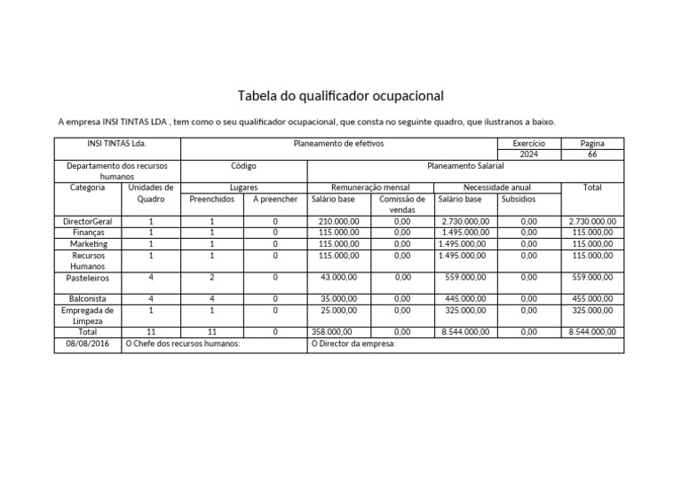 Planejamento Salarial INSI TINTAS LDA | PDF
