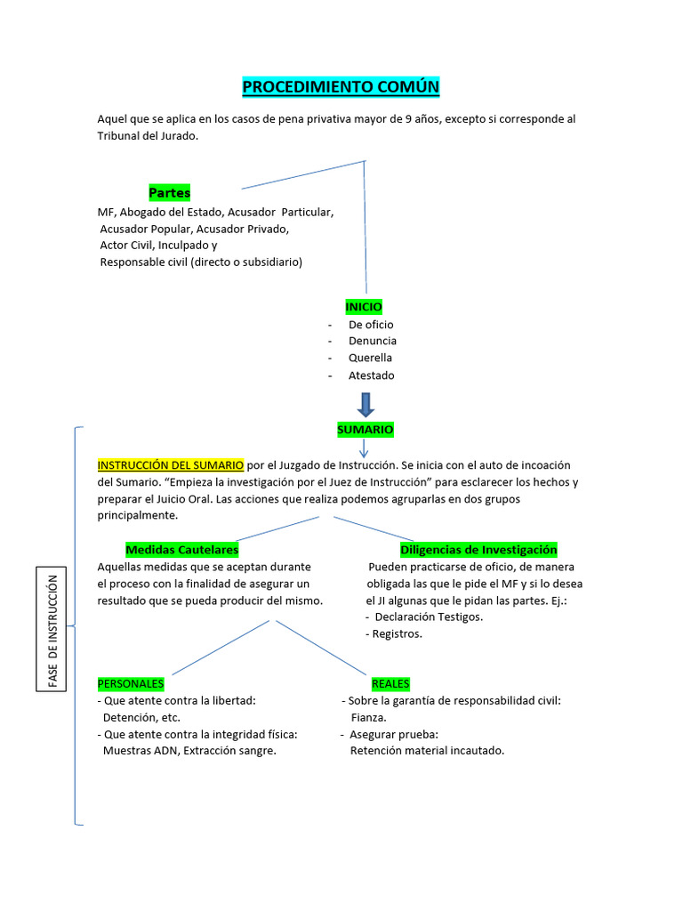 Esquemas 6 Procedimientos Penales | PDF | Queja | Mandato