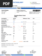 Blood Group Report Format | PDF