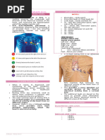 ECG Rhythm Interpretation | PDF | Electrocardiography | Cardiology
