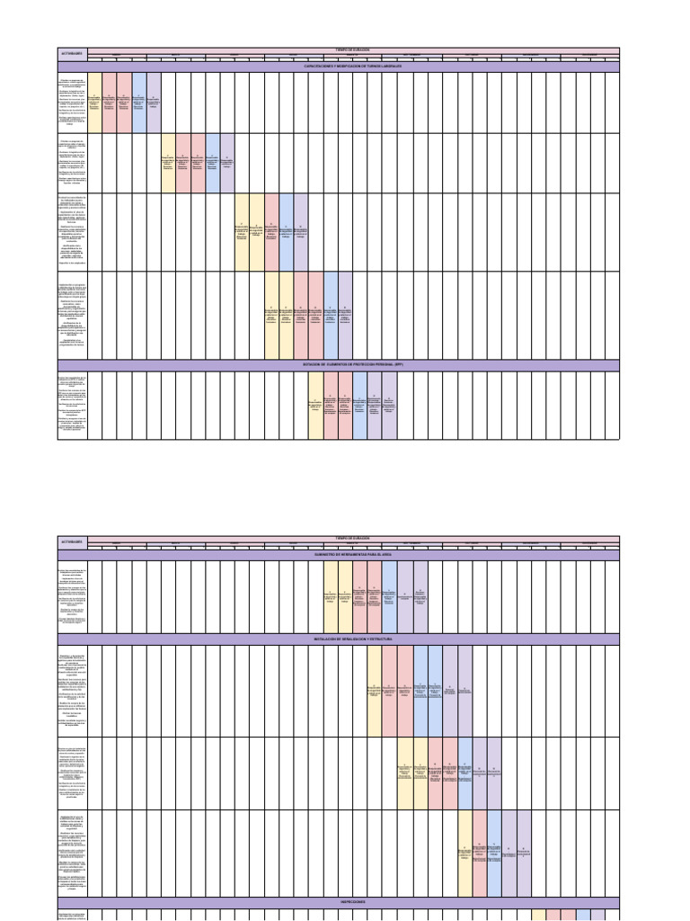 CRONOGRAMA - Programa de Actividades | PDF