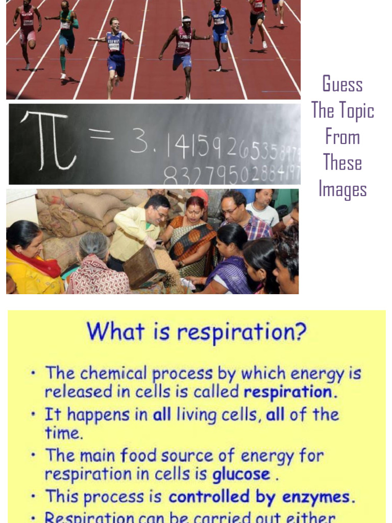 Toddle Respiration | PDF