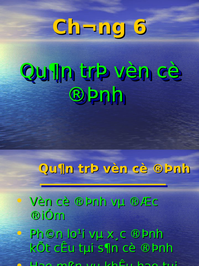 C6 Quan Tri Von Co Dinh | PDF