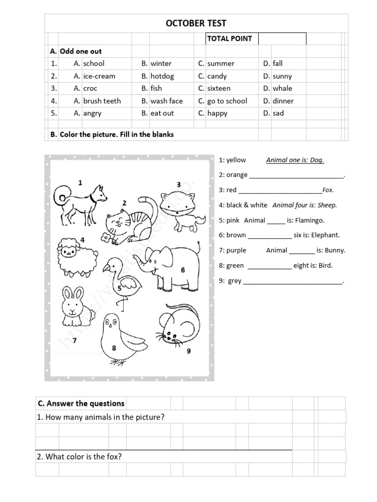 October Test Activities | PDF