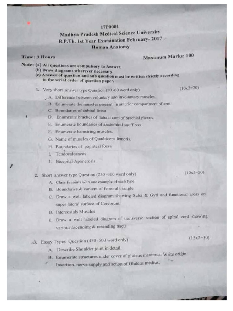 Anatomy Papers | PDF