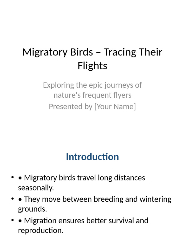 Migratory Birds: Epic Journeys Explained | PDF