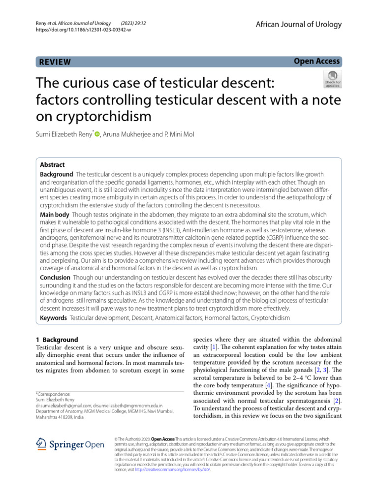 Kelas B - Undesensus Testis | PDF | Testicle | Androgen