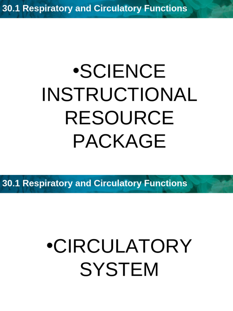 LR PPT Circulatory System | PDF | Heart | Circulatory System