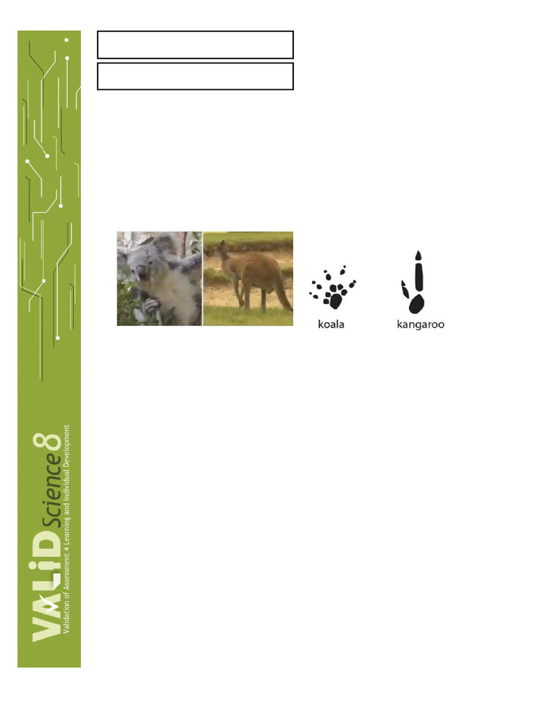 Year 8 VALID Science Test 2015 | PDF | Bronze | Coral Reef