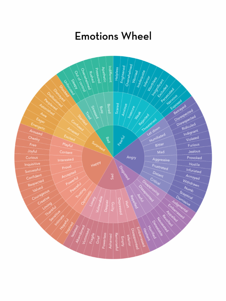 CSG Emotions Wheel | PDF