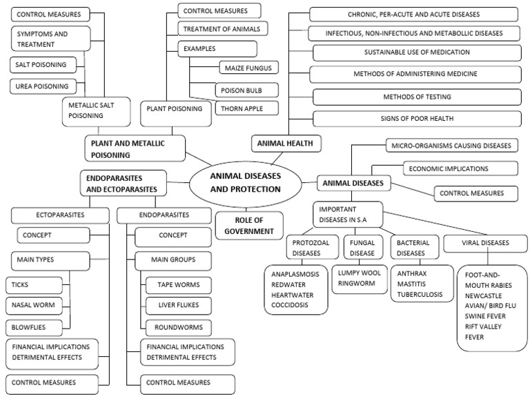Animal Protection - Mind Map 2025 - 115943 | PDF | Parasitism ...