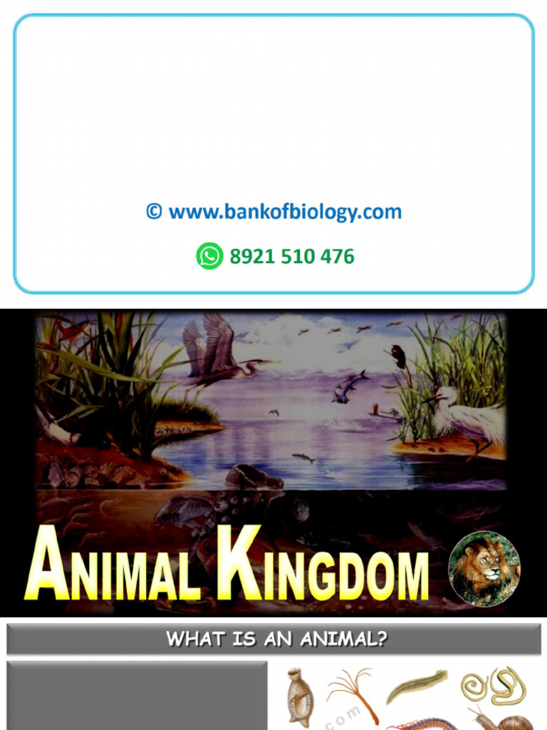 4 Animal Kingdom Pic June 2021 - Part 1 | PDF