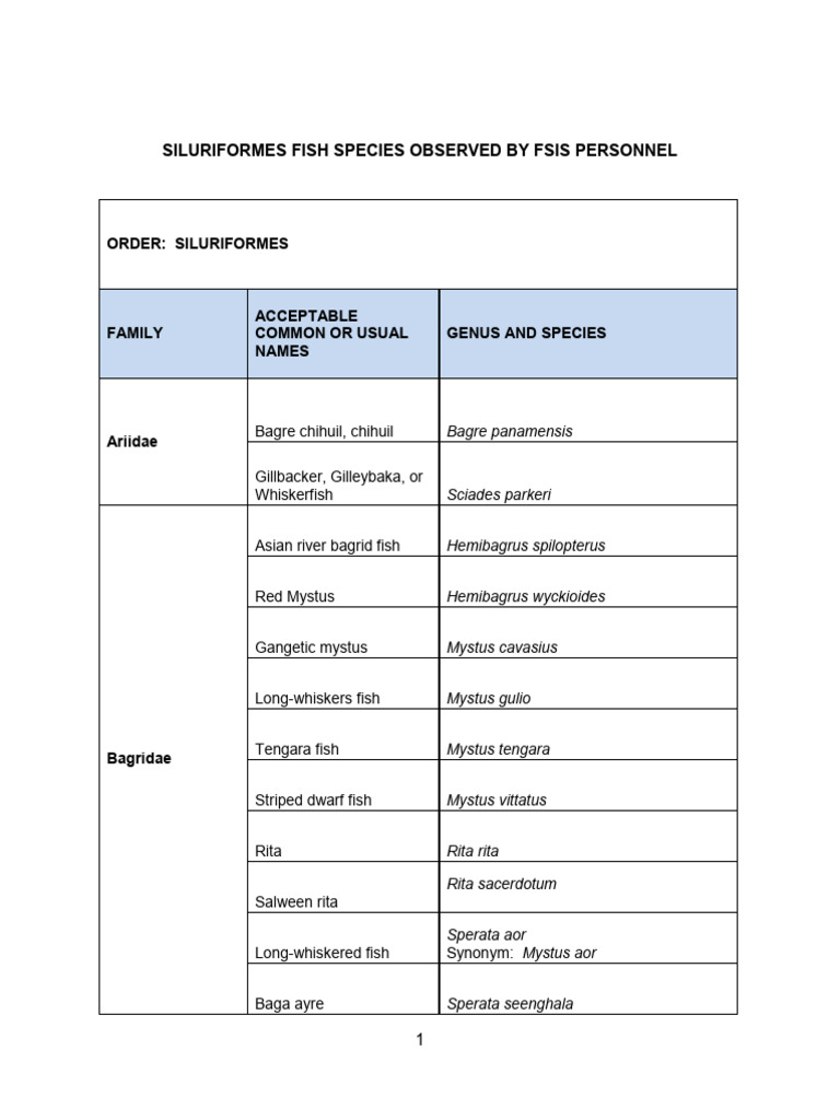 Siluriformes Fish Species | PDF | Fishkeeping | Fish