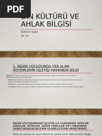 Insan Vucudu Ve Evren Arasindaki Benzerlikler | PDF