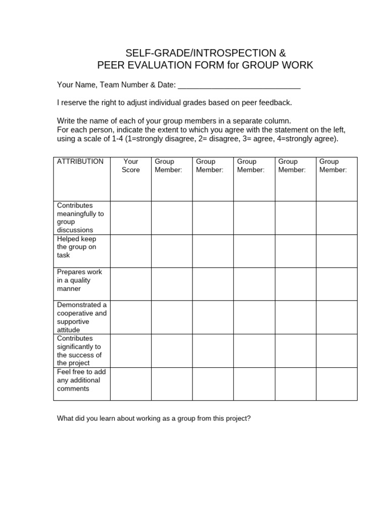Peer Evaluation Template 2 | PDF