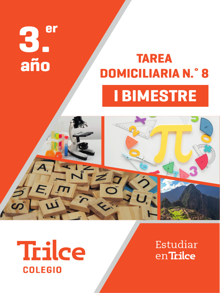 Tarea - Ibim-3sec-2025-N8 | PDF | Odiseo | Héctor