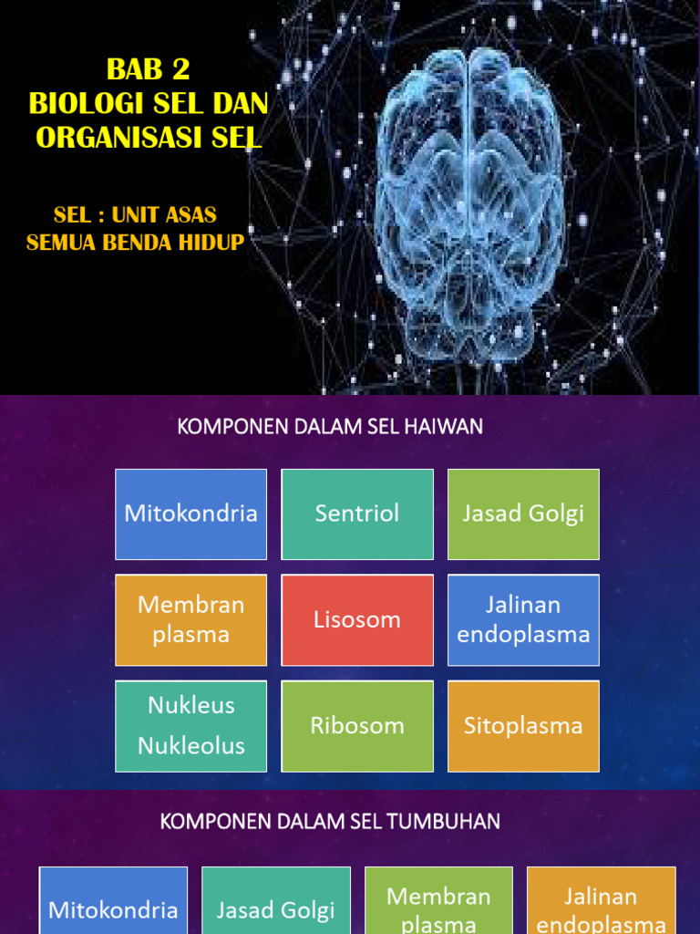 Bio Bab2 F4 | PDF
