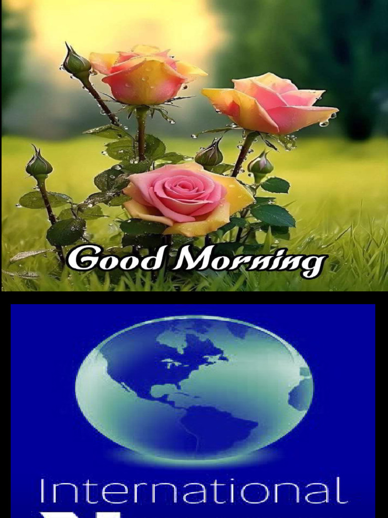 Sharmila News Ppt | PDF