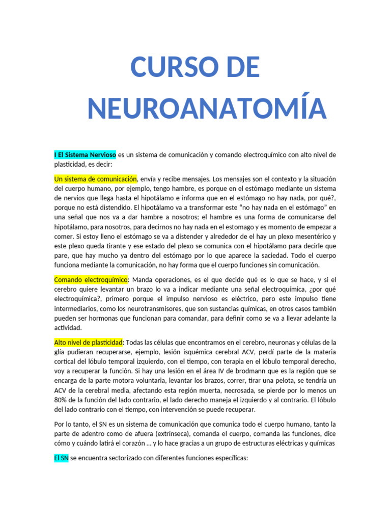 Introducción al Sistema Nervioso y Neuroanatomía | PDF | Médula espinal ...