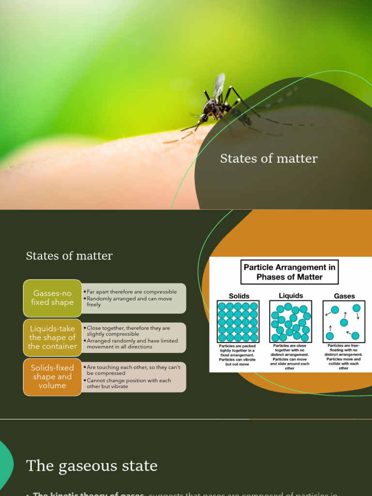 States of Matter | PDF