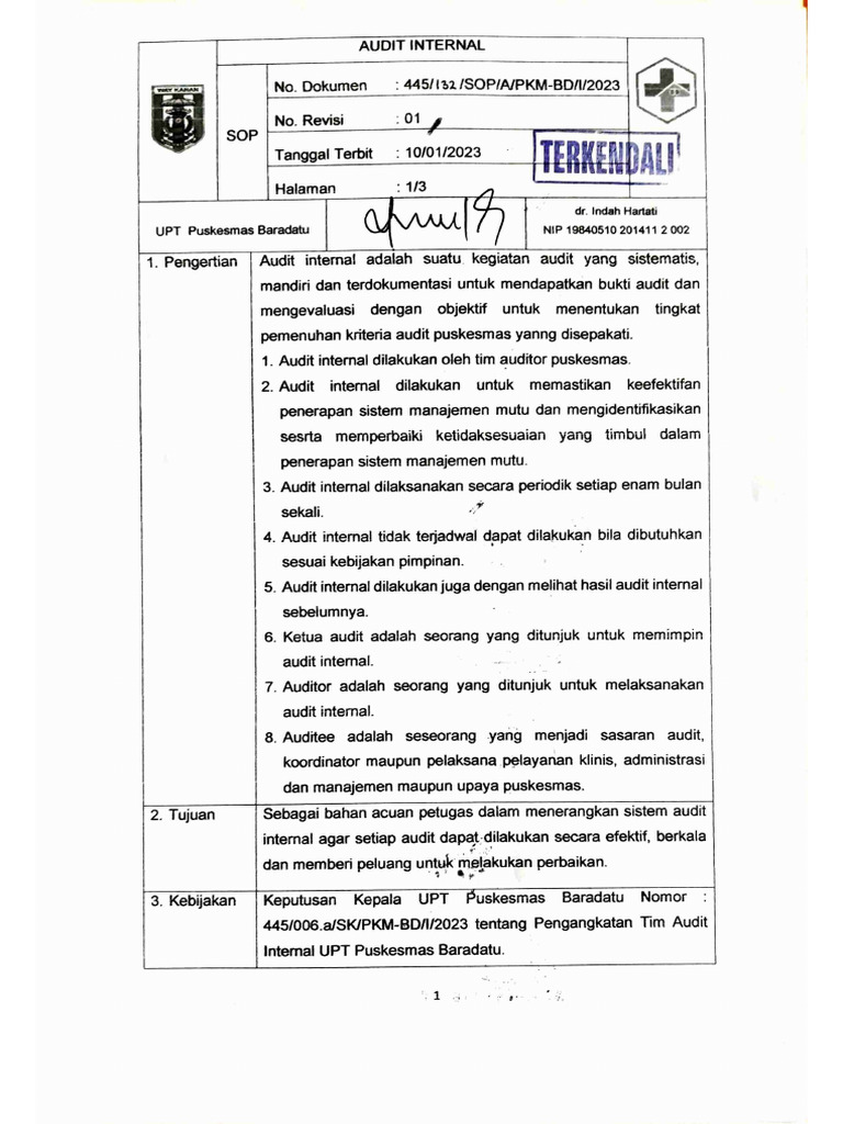 SOP Audit Internal | PDF