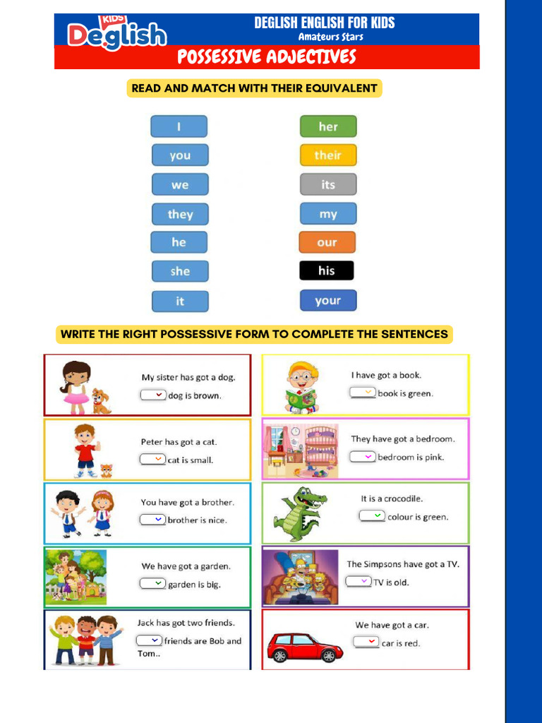 Possessive Adjectives | PDF