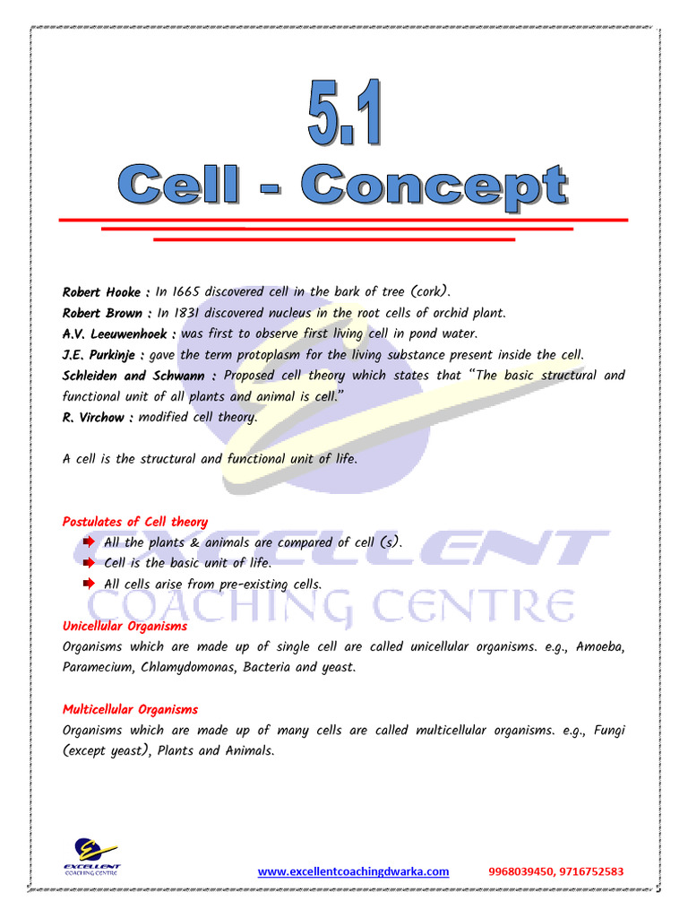 Cell Concept Map Overview | PDF
