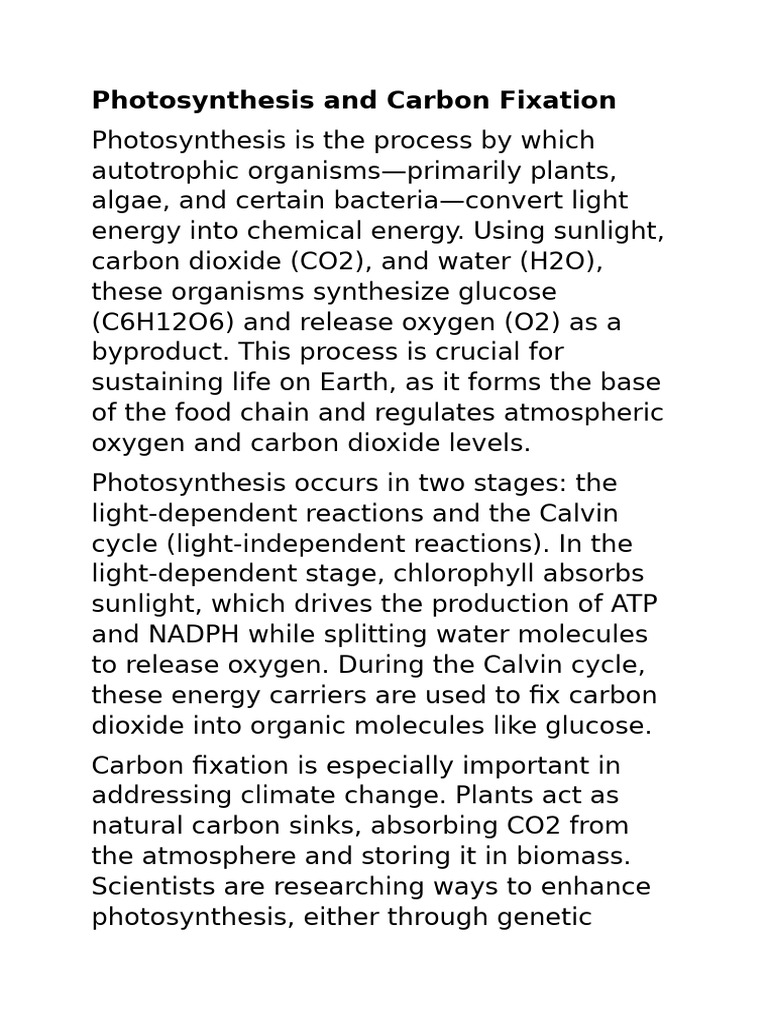 Photosynthesis and Carbon Fixation | PDF