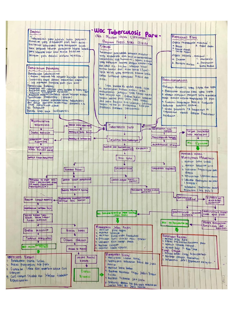 WOC TB Paru Maulani Ulfah MG - 1 | PDF