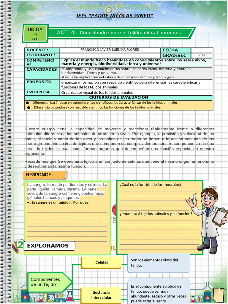 d2º Act 4 Cyt Unid 1- Sem 4_013850 | PDF | Músculo | Epitelio