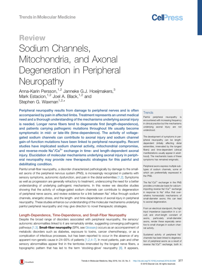 Sodium Channels and Mitochondrial - Axonal Degeneration | PDF | Axon | Myelin