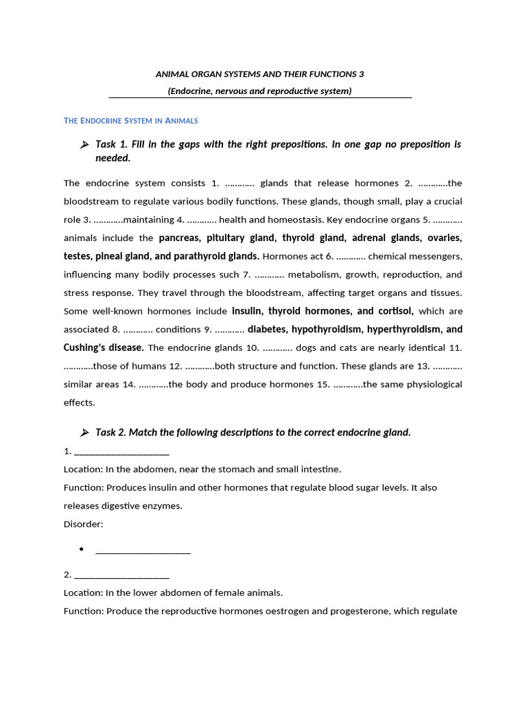 Animal Organ Systems and Their Functions 3 | PDF | Endocrine System ...