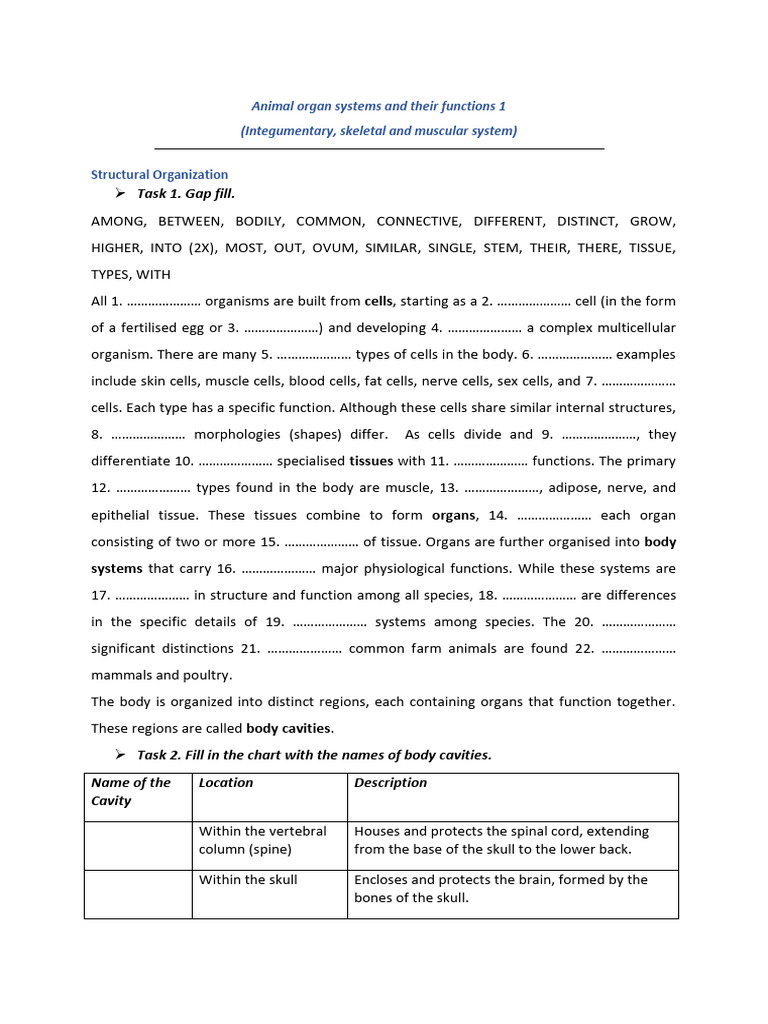 4. Animal organ systems and their functions 1 | PDF | Muscle | Skeleton