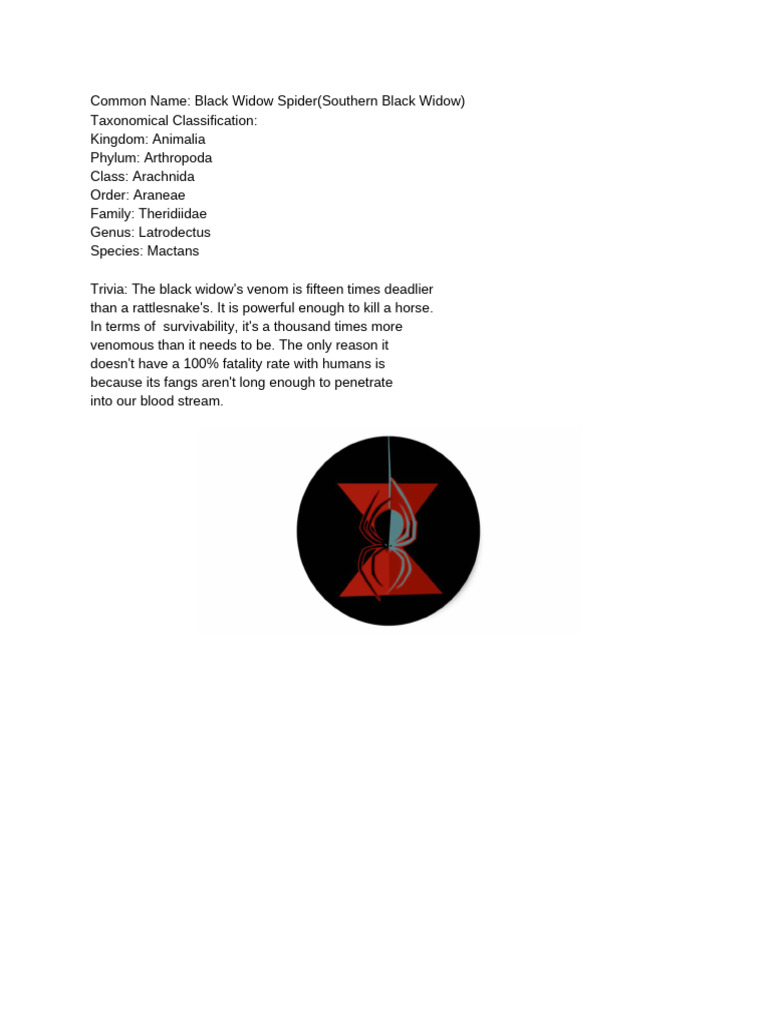 Black Widow Spider | PDF