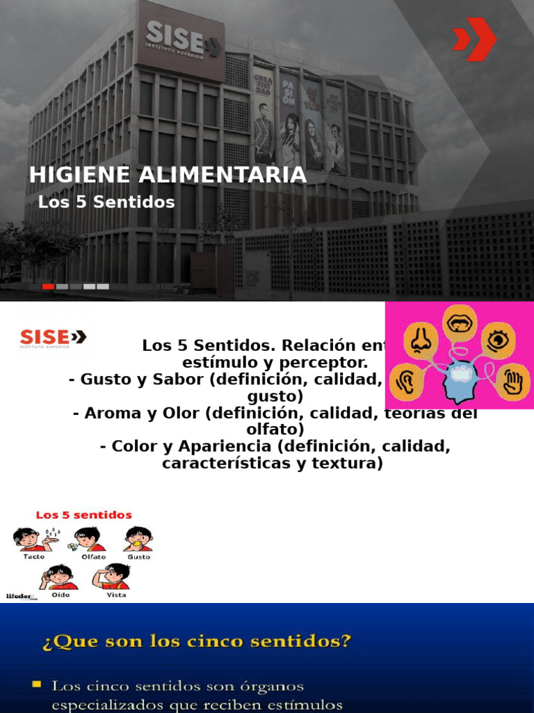 Presentación 8 - Los 5 Sentidos | PDF