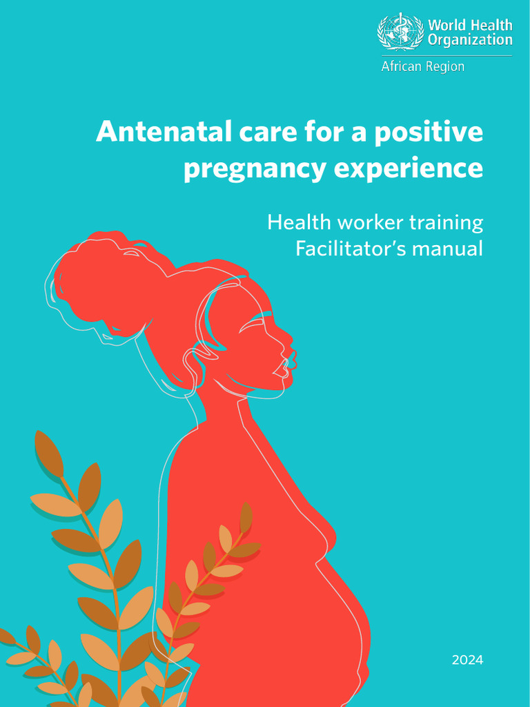 Antenatal Care for a Positive Pregnancy Experience—Health Worker ...