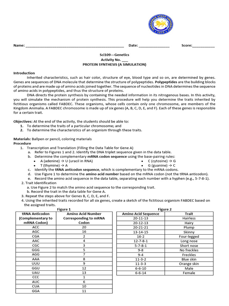 LA3. Protein Synthesis A Simulation | PDF | Translation (Biology) | Nucleic Acid Sequence