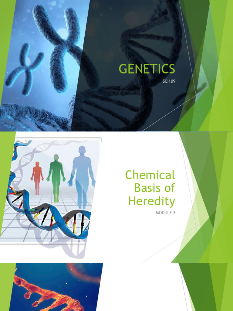 Genetics Module 3.b | PDF | Translation (Biology) | Genetic Code